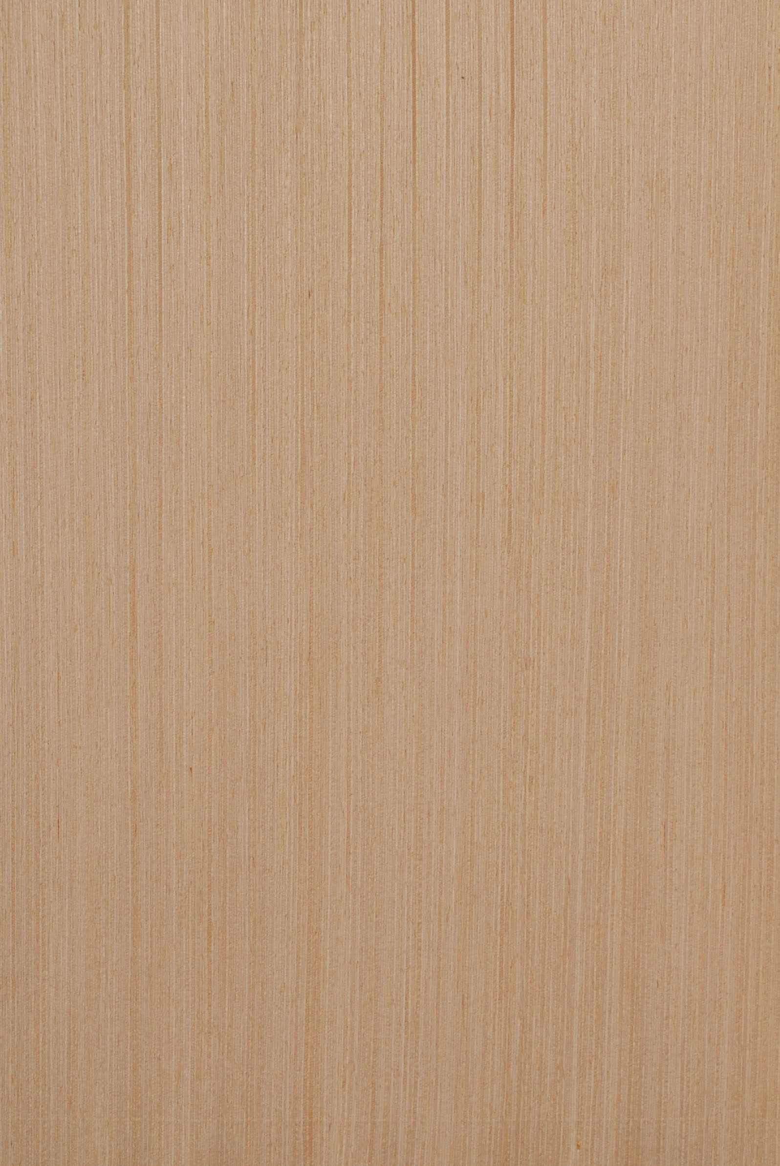 SW Wood veneer | SIAM WOODLAND