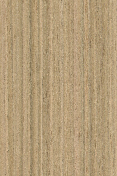 SW Wood veneer | SIAM WOODLAND