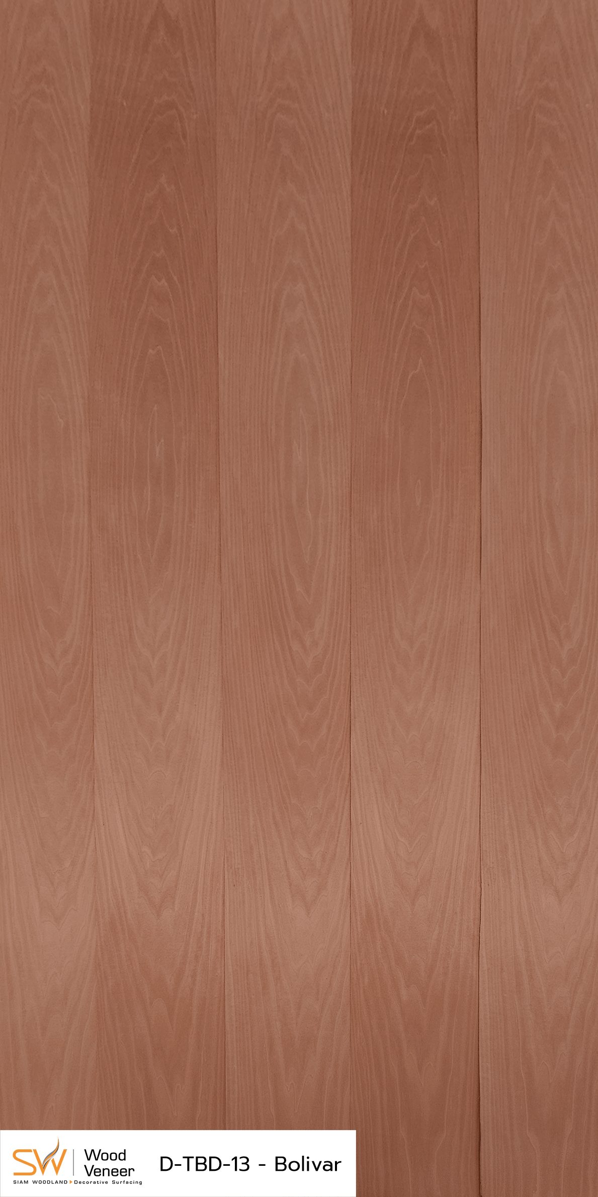 SW Wood veneer - SIAM WOODLAND