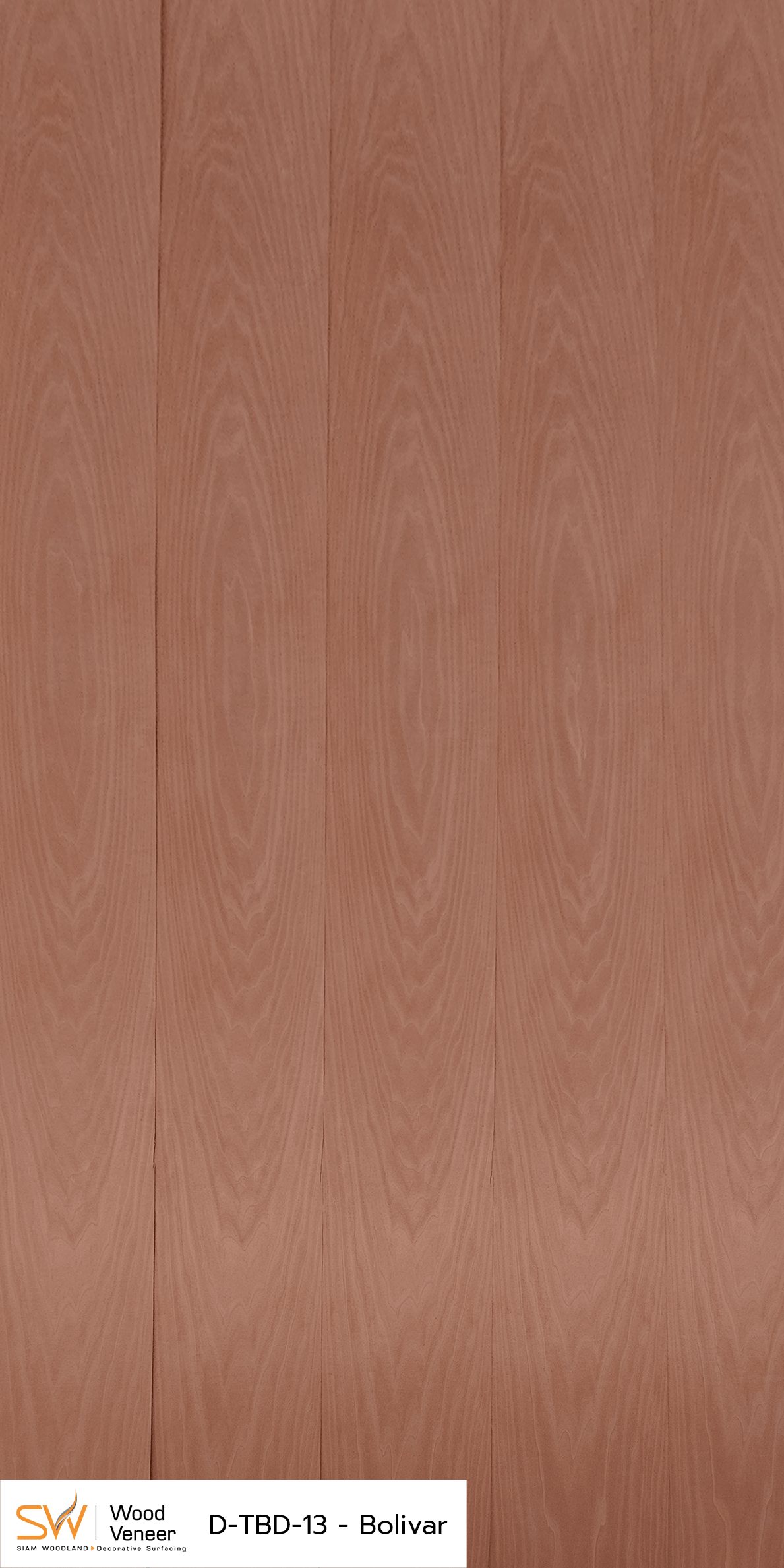 SW Wood veneer - SIAM WOODLAND